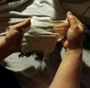 An Easy Guide to Tanning Rabbit Hides - Countryside